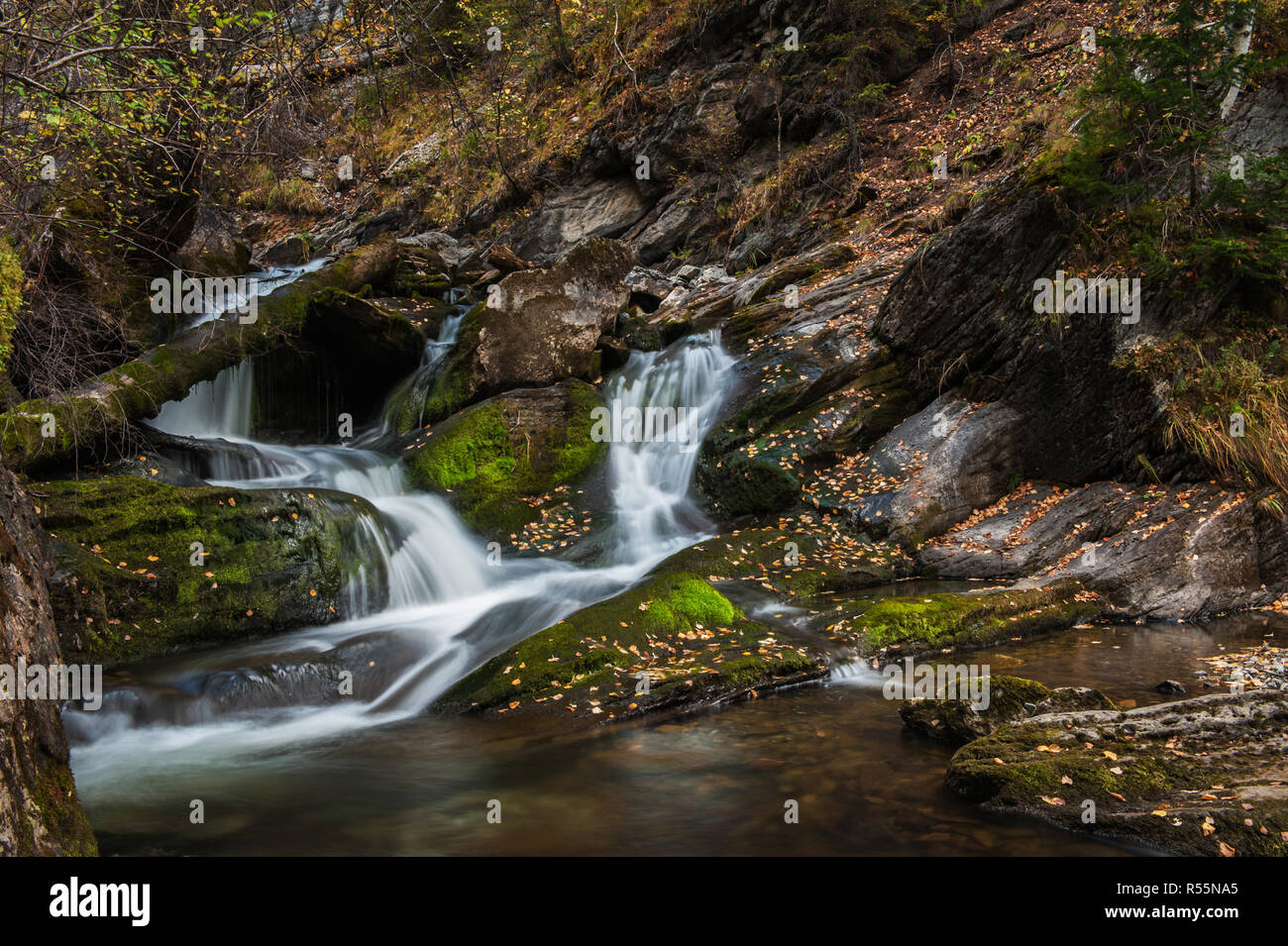 Waterfall on river Shinok Stock Photo - Alamy