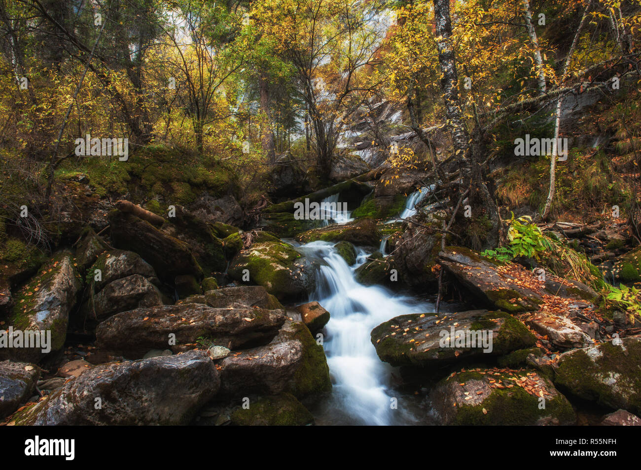 Waterfall on river Shinok Stock Photo - Alamy