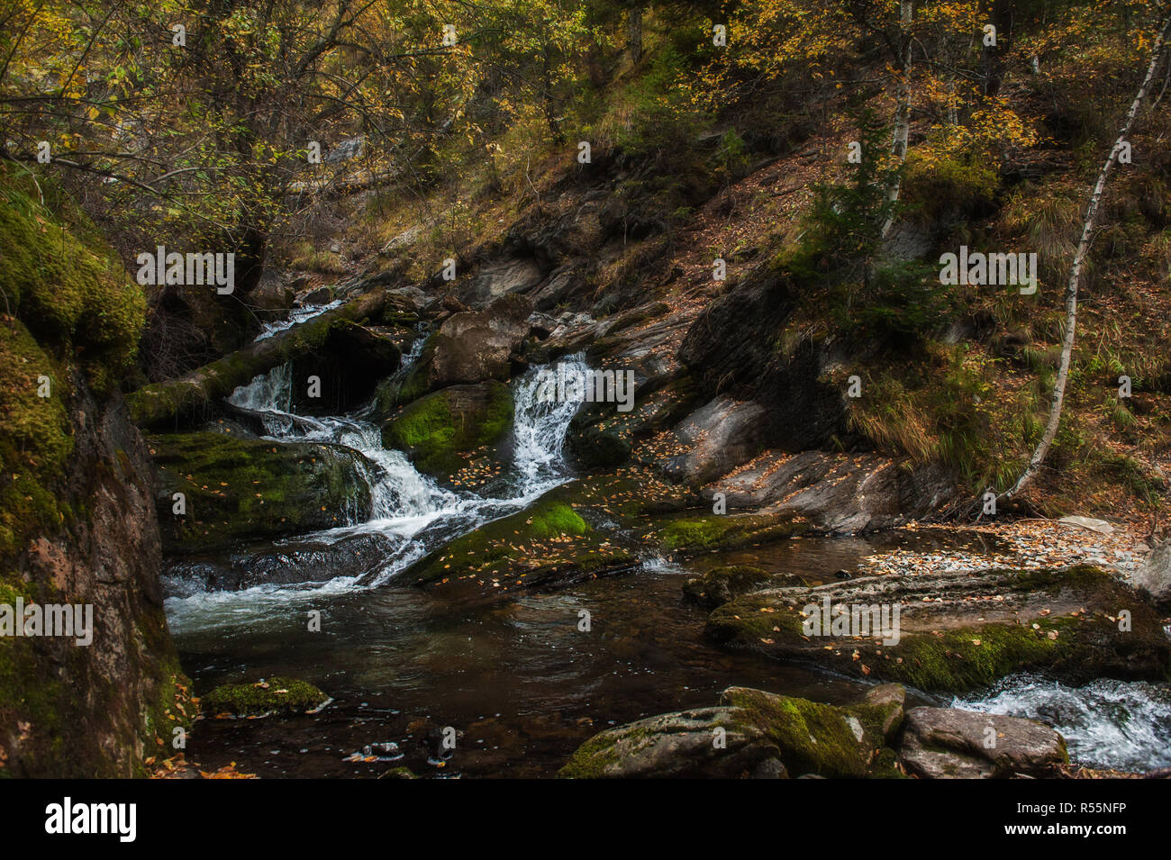 Waterfall on river Shinok Stock Photo - Alamy