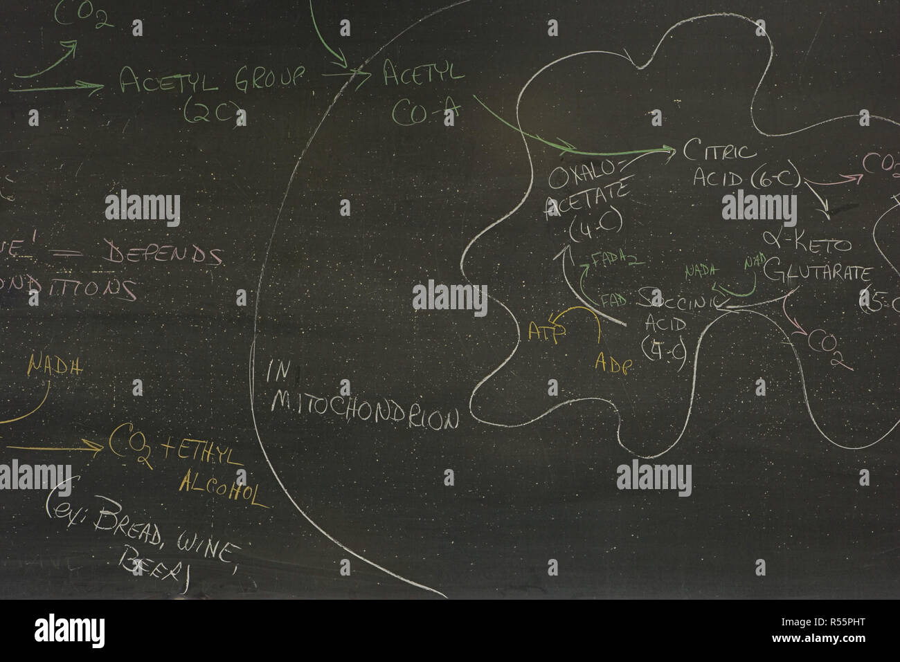 Science lesson written on a blackboard Stock Photo - Alamy