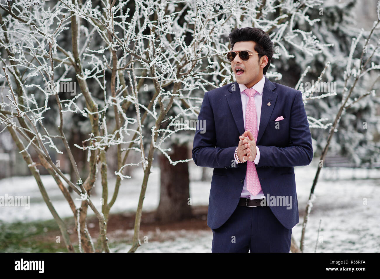 Elegant indian macho man hi-res stock photography and images - Alamy