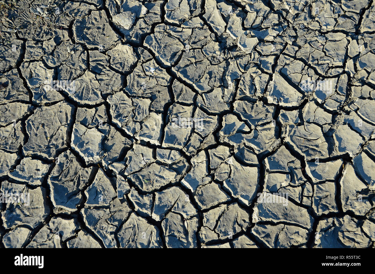 Riay hi-res stock photography and images - Alamy