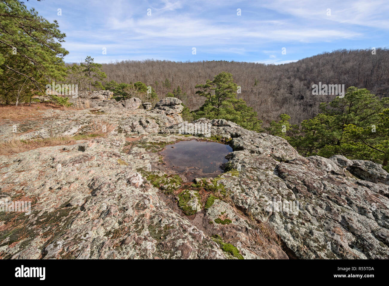 Fresh rainfall hi-res stock photography and images - Alamy