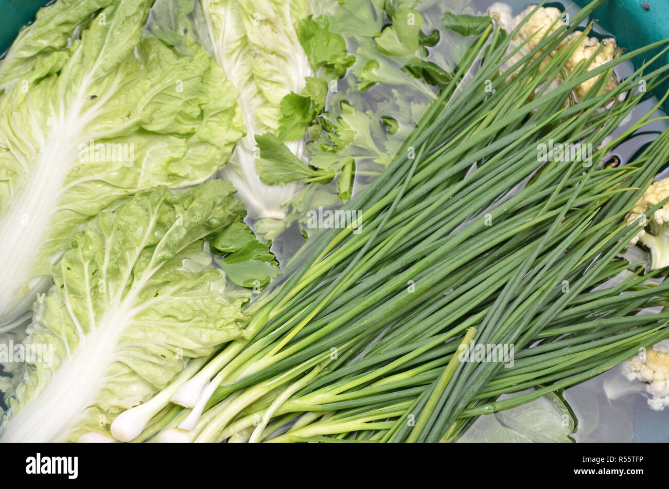 Fresh vegetables in a basin Stock Photo - Alamy