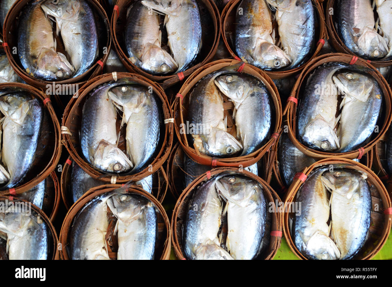 Mae Klong Mackerel fish Stock Photo - Alamy