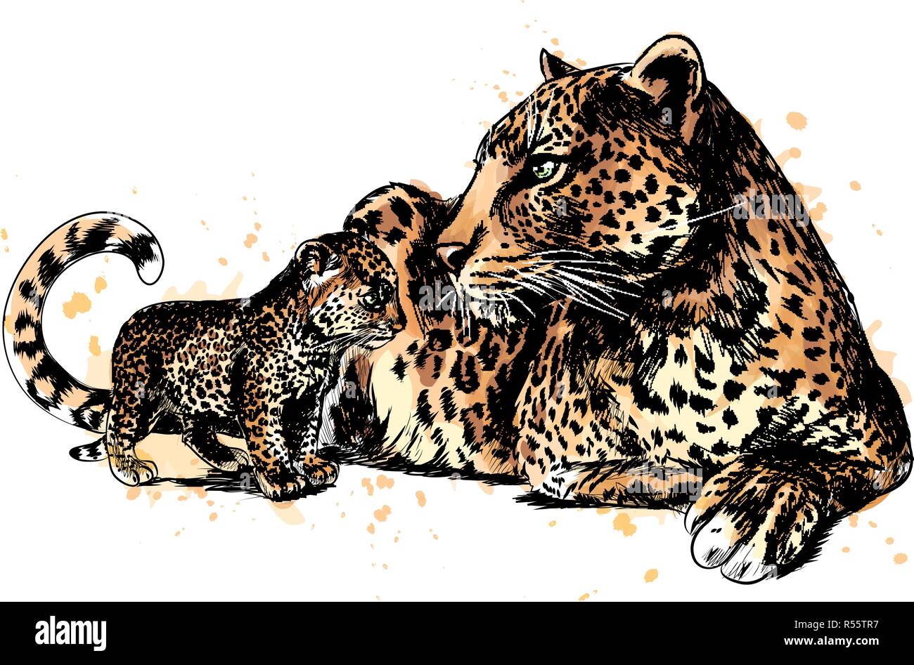 Portrait of a leopard from a splash of watercolor Stock Vector Image ...