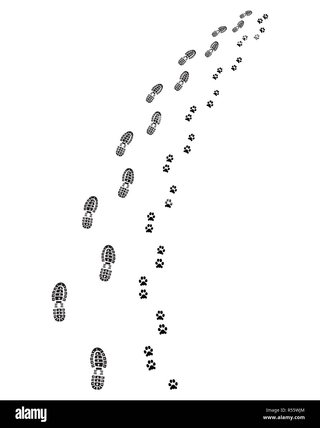 Human and dog footprints hi-res stock photography and images - Alamy