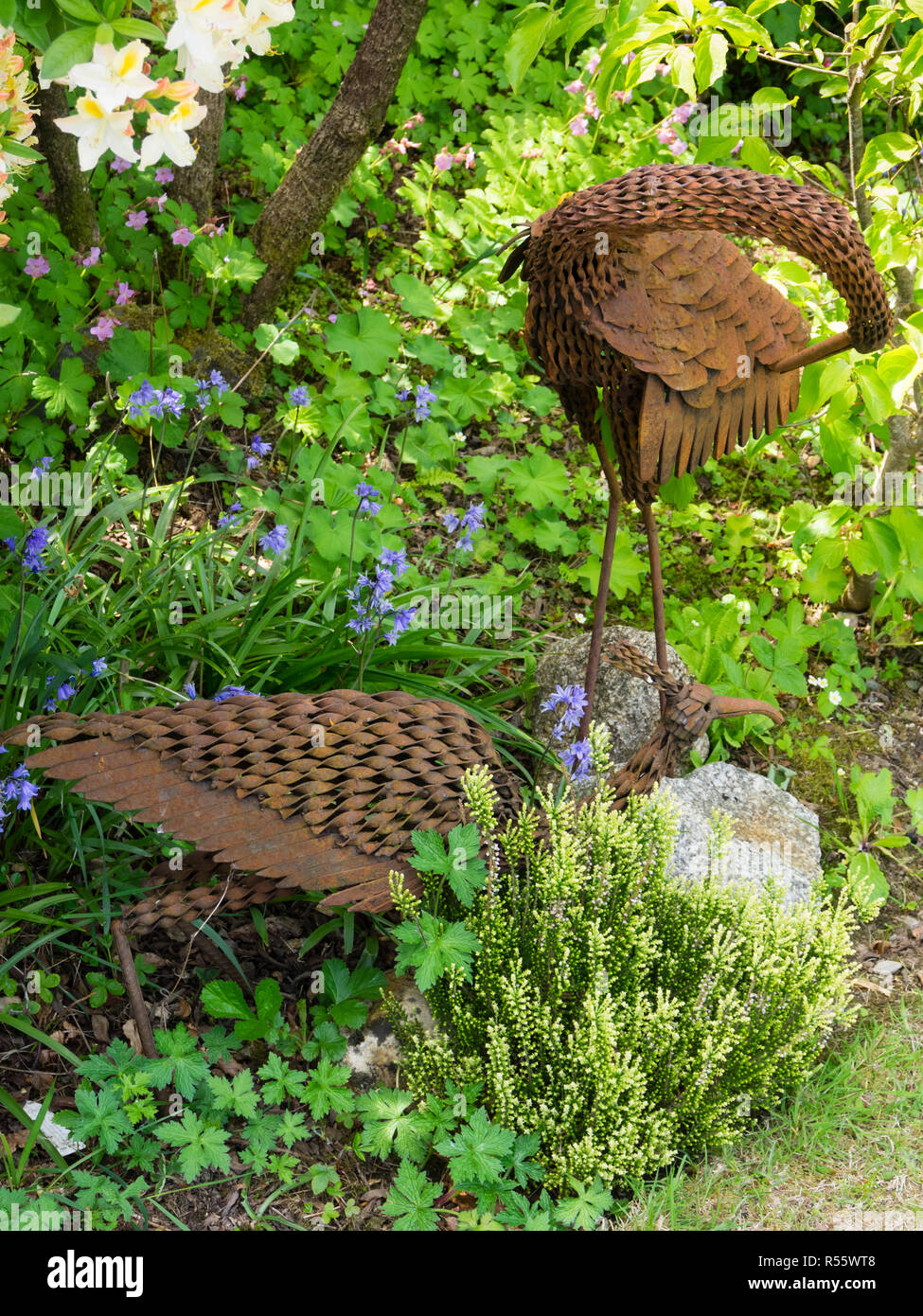 Rusted iron sculptures of two cranes in a spring Devon garden Stock ...