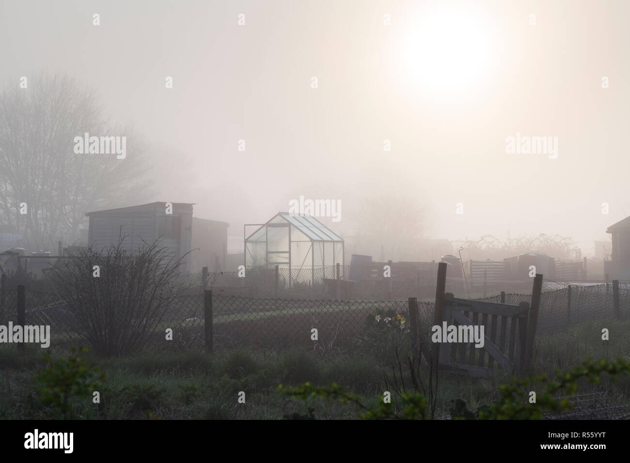 Dense Fog England High Resolution Stock Photography and Images - Alamy