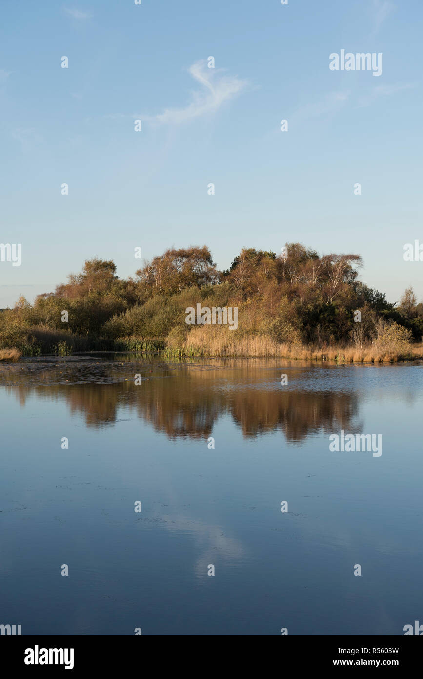 Little hatchet pond hi-res stock photography and images - Alamy