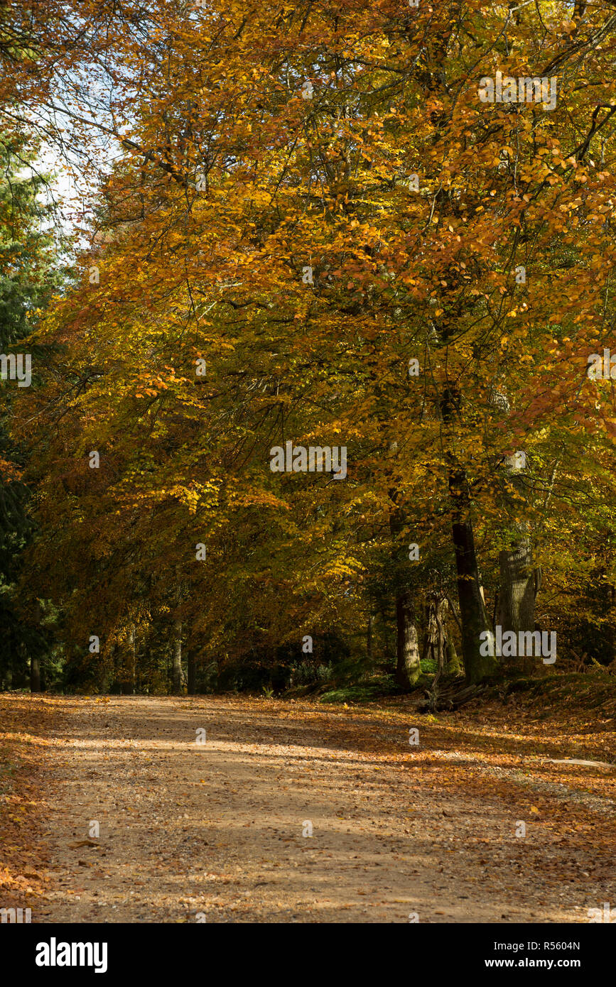 Burley england hi-res stock photography and images - Alamy