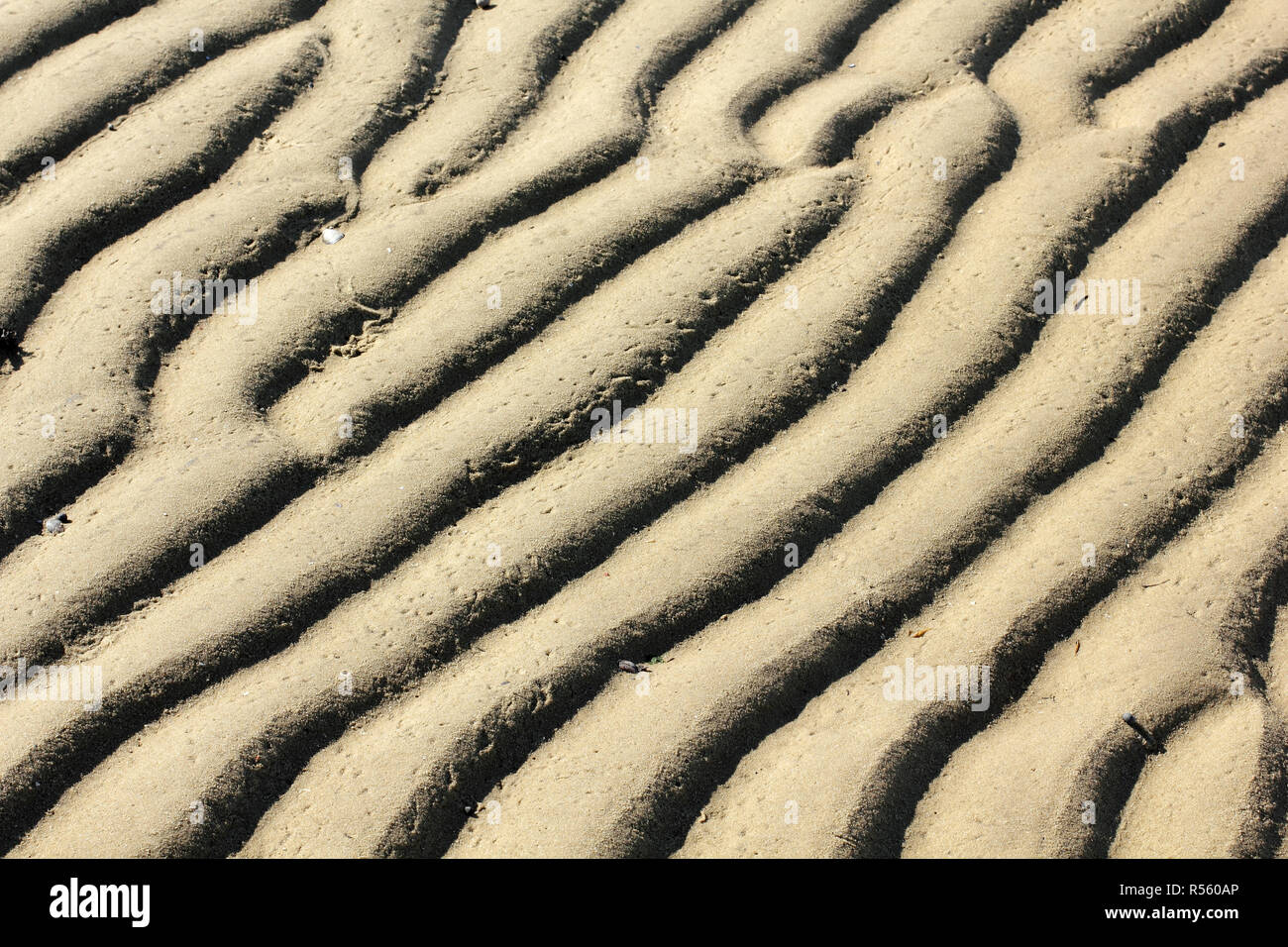 Ripple marks in the sand on the beach hi-res stock photography and ...