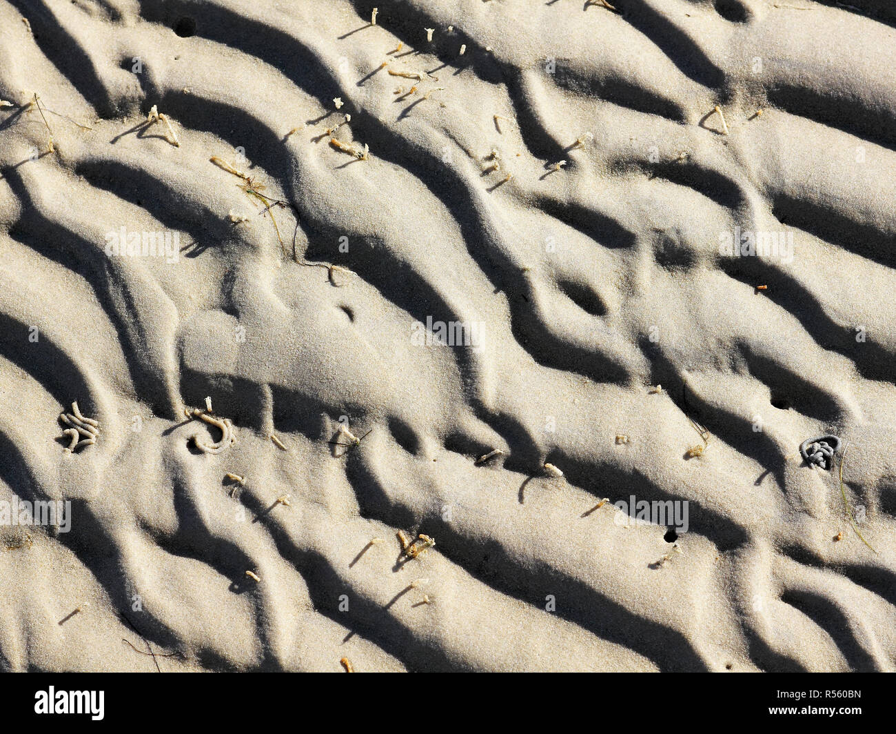 Worm tracks hi-res stock photography and images - Alamy
