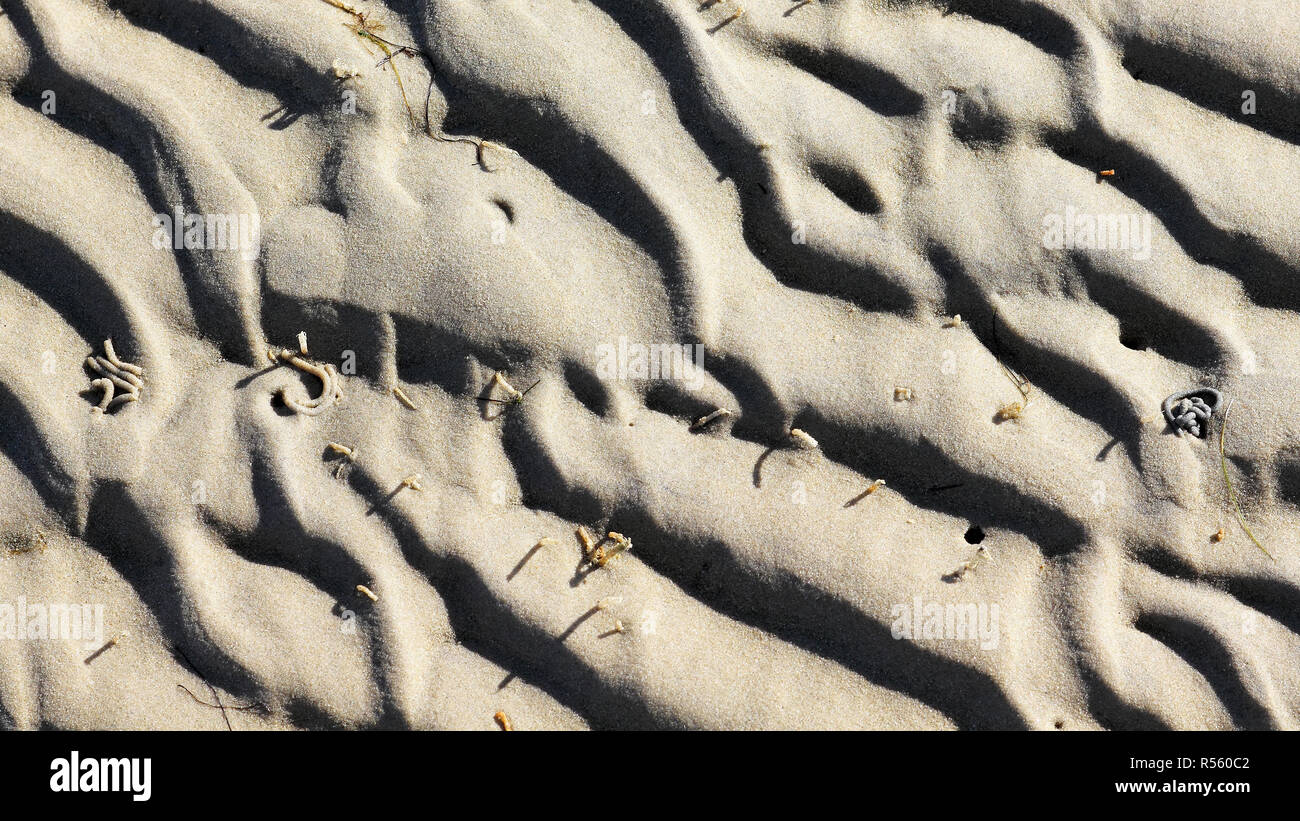 Worm Tracks High Resolution Stock Photography and Images - Alamy