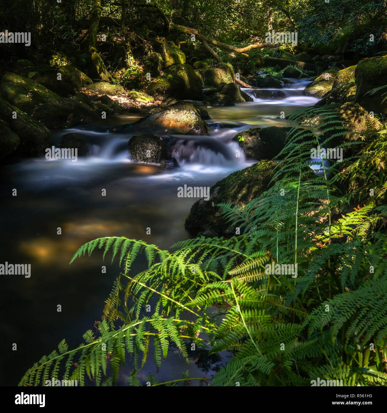 Shaugh Bridge River Stock Photo - Alamy