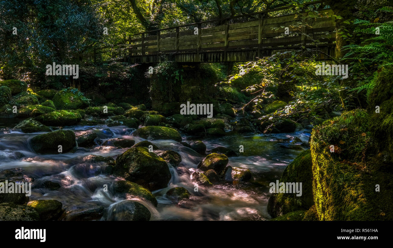 Shaugh bridge hi-res stock photography and images - Alamy