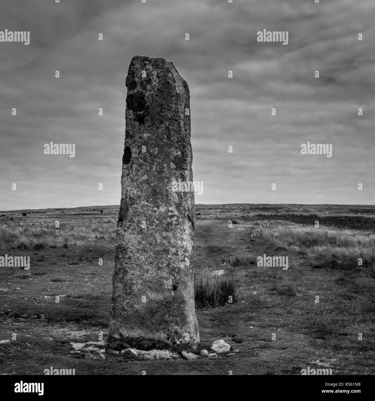 Fuji xpro2 Black and White Stock Photos & Images - Alamy