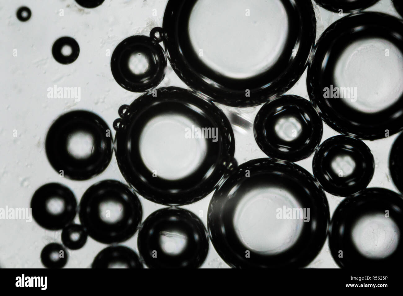 Liquid Crystal Microscope High Resolution Stock Photography and Images ...