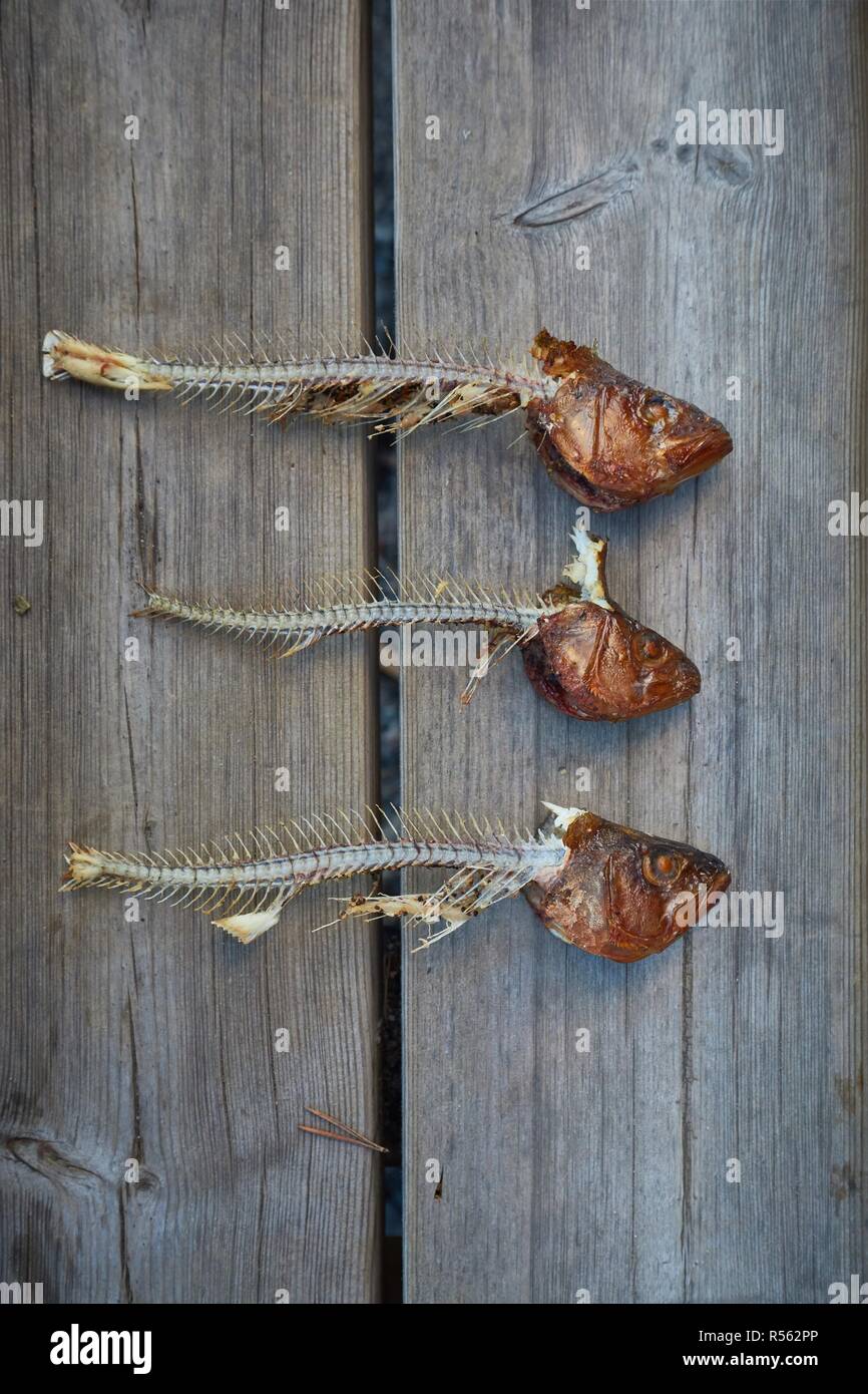 Fried fish leftovers Stock Photo - Alamy