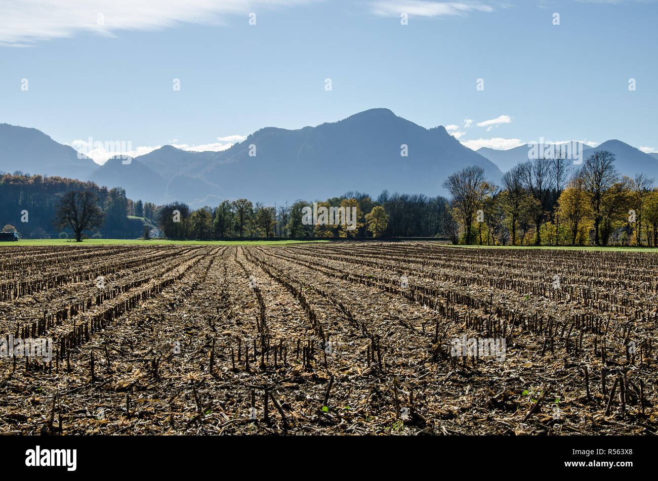 Agriculture alpine hi-res stock photography and images - Alamy