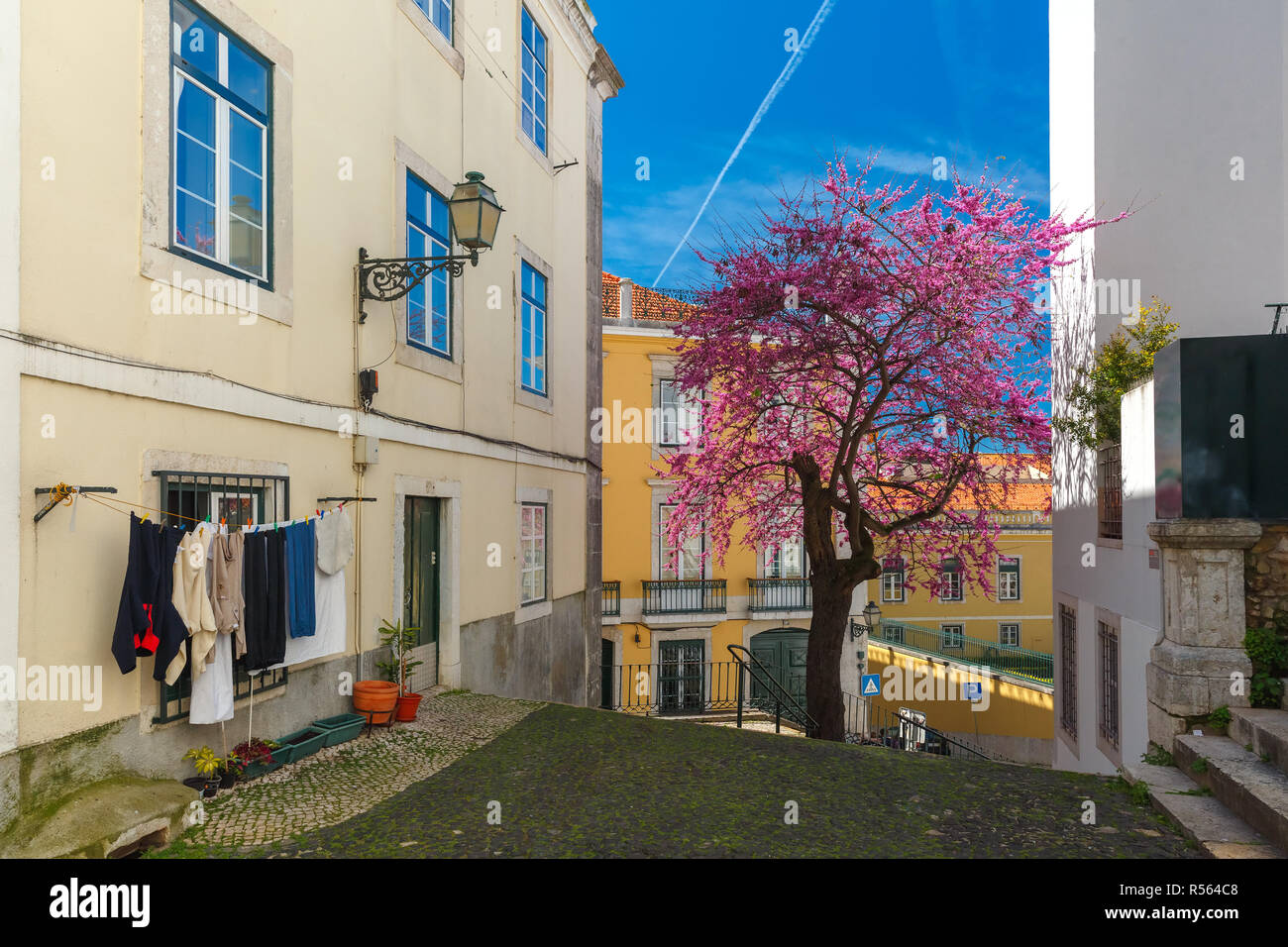 Spring typical Lisbon street, Portugal Stock Photo - Alamy