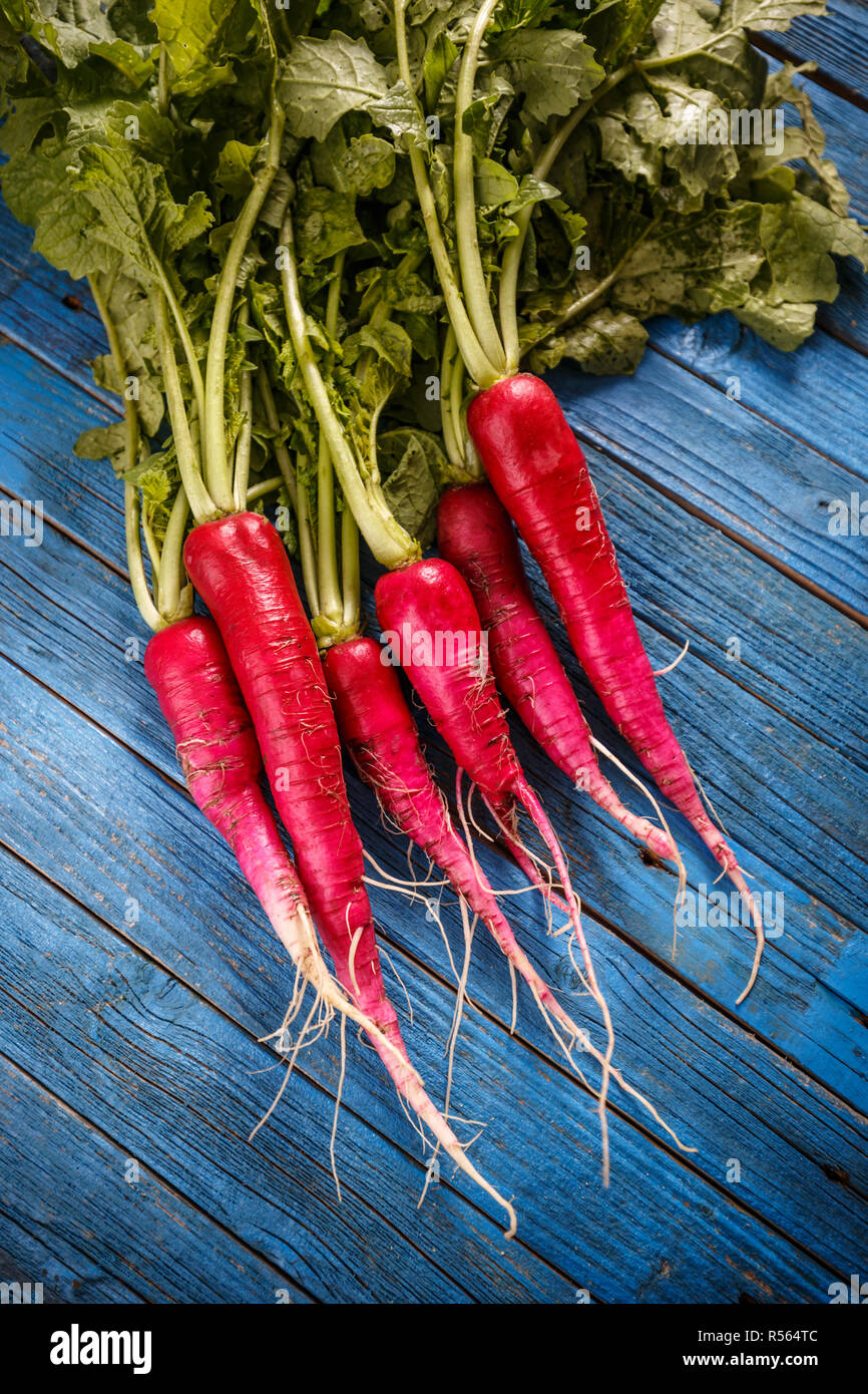 Bunch of fresh long radish Stock Photo - Alamy