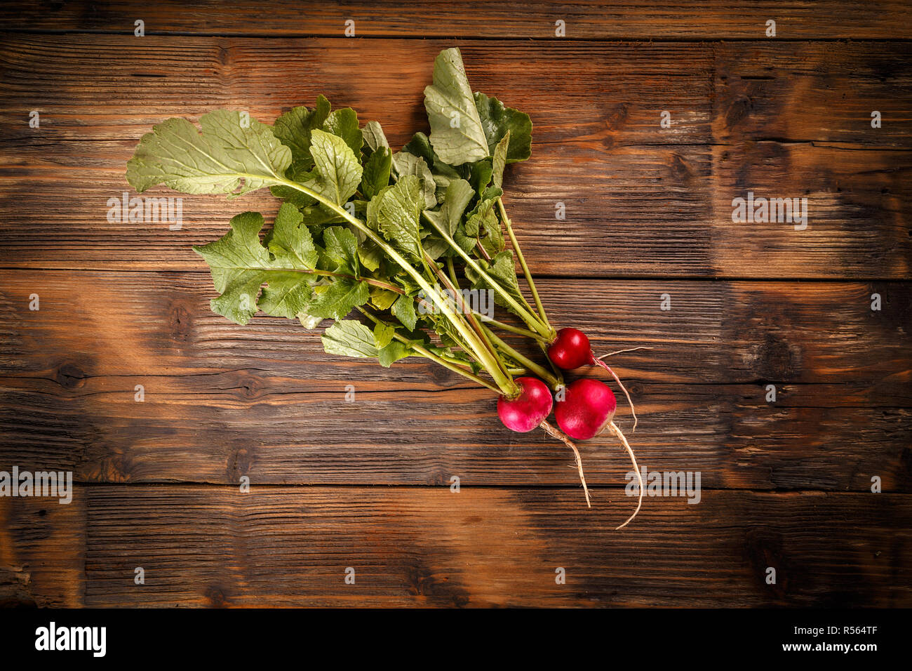 Bunch of fresh radishe Stock Photo - Alamy