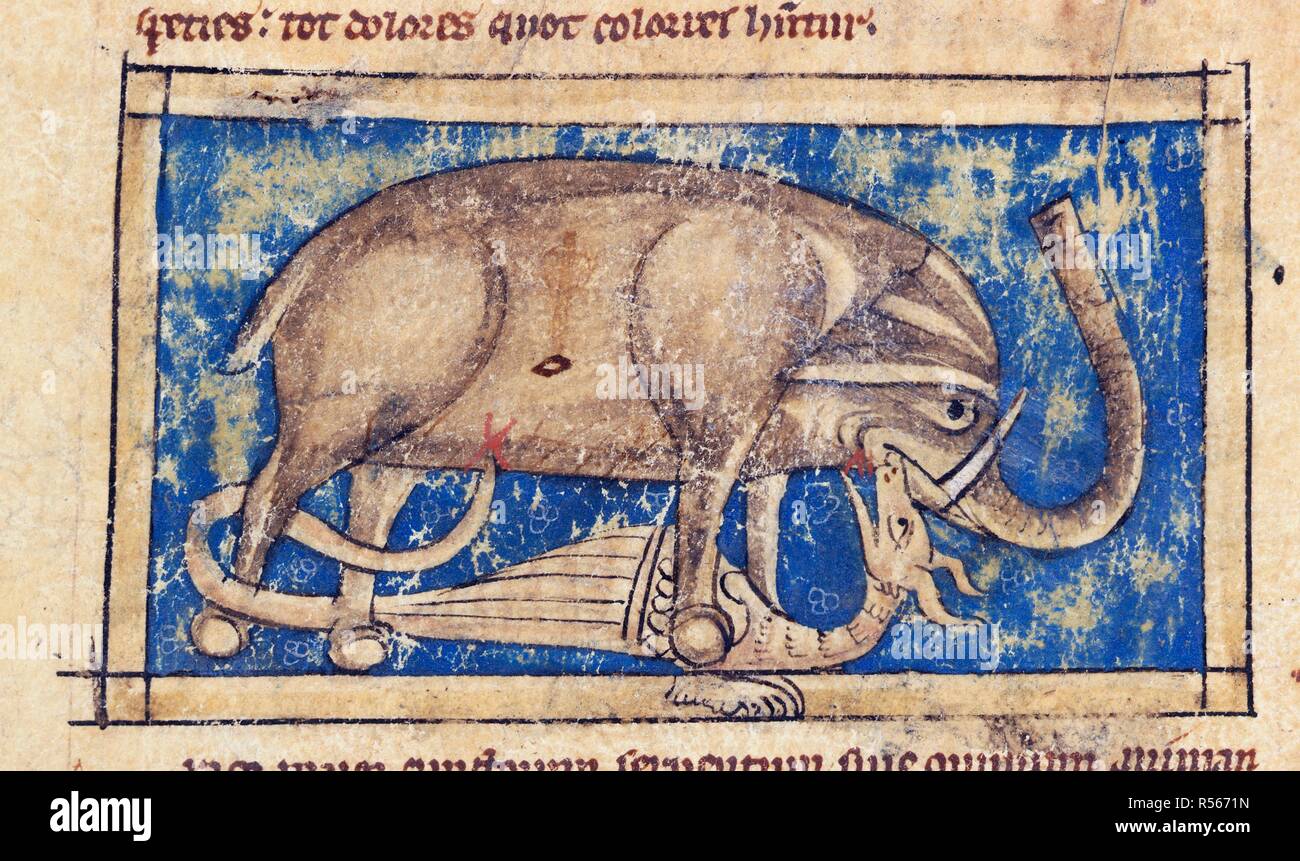 Dragon and elephant fighting miniature hi-res stock photography and ...