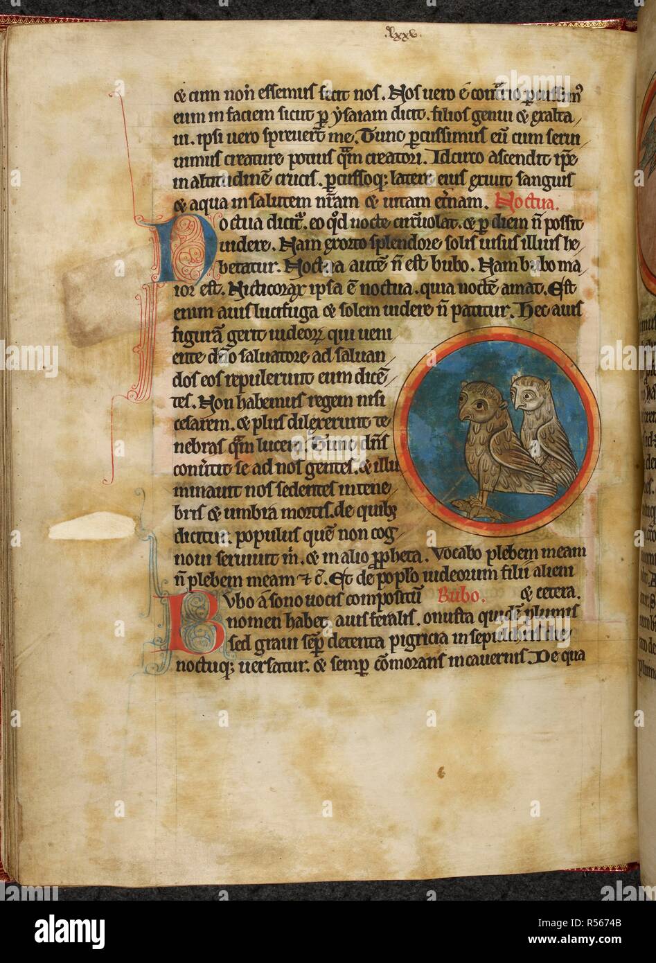 Little Owl and Eagle Owl. Bestiary. England (Salisbury?); 1230-1240 ...