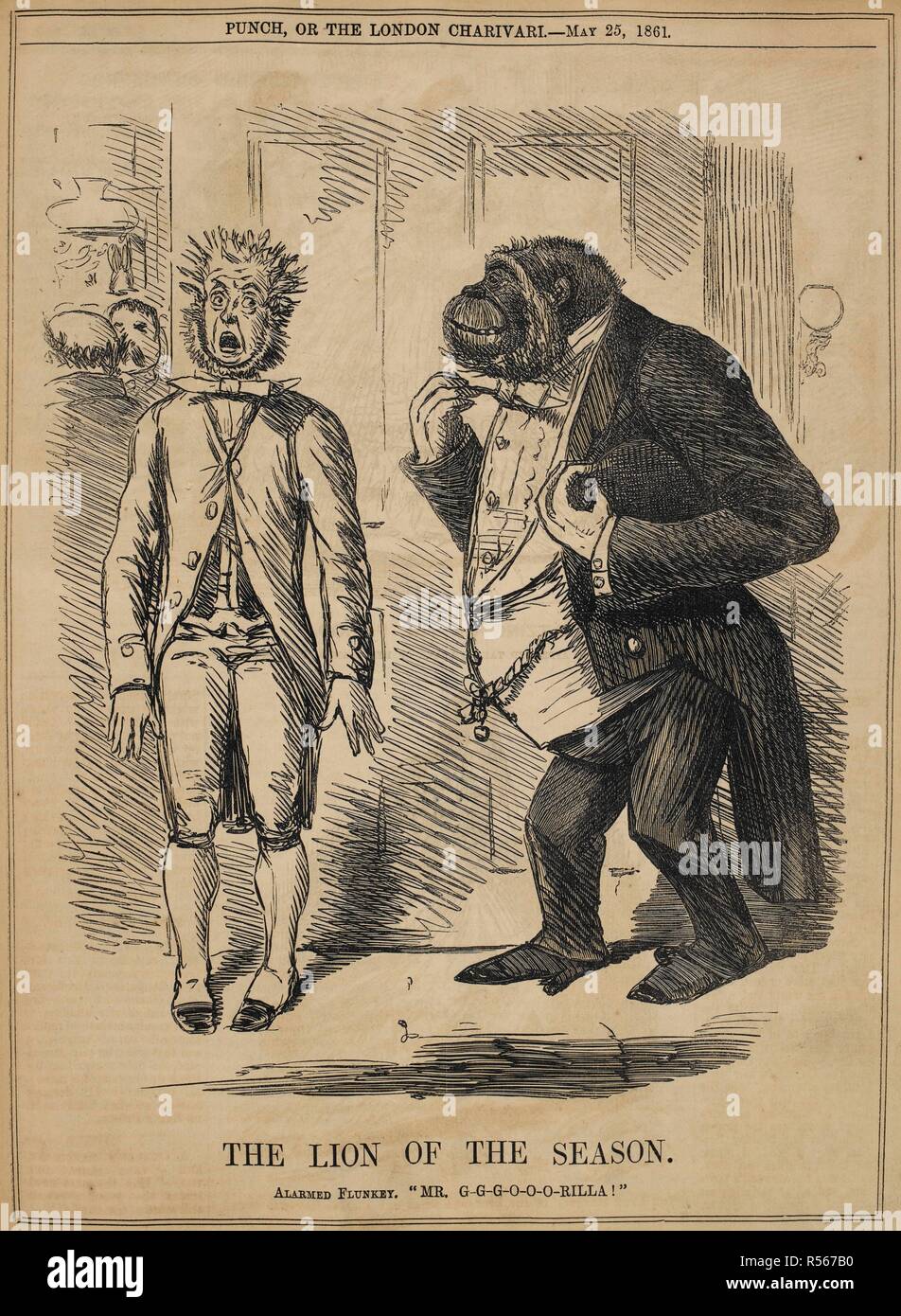 Evolution concept archive hi-res stock photography and images - Alamy