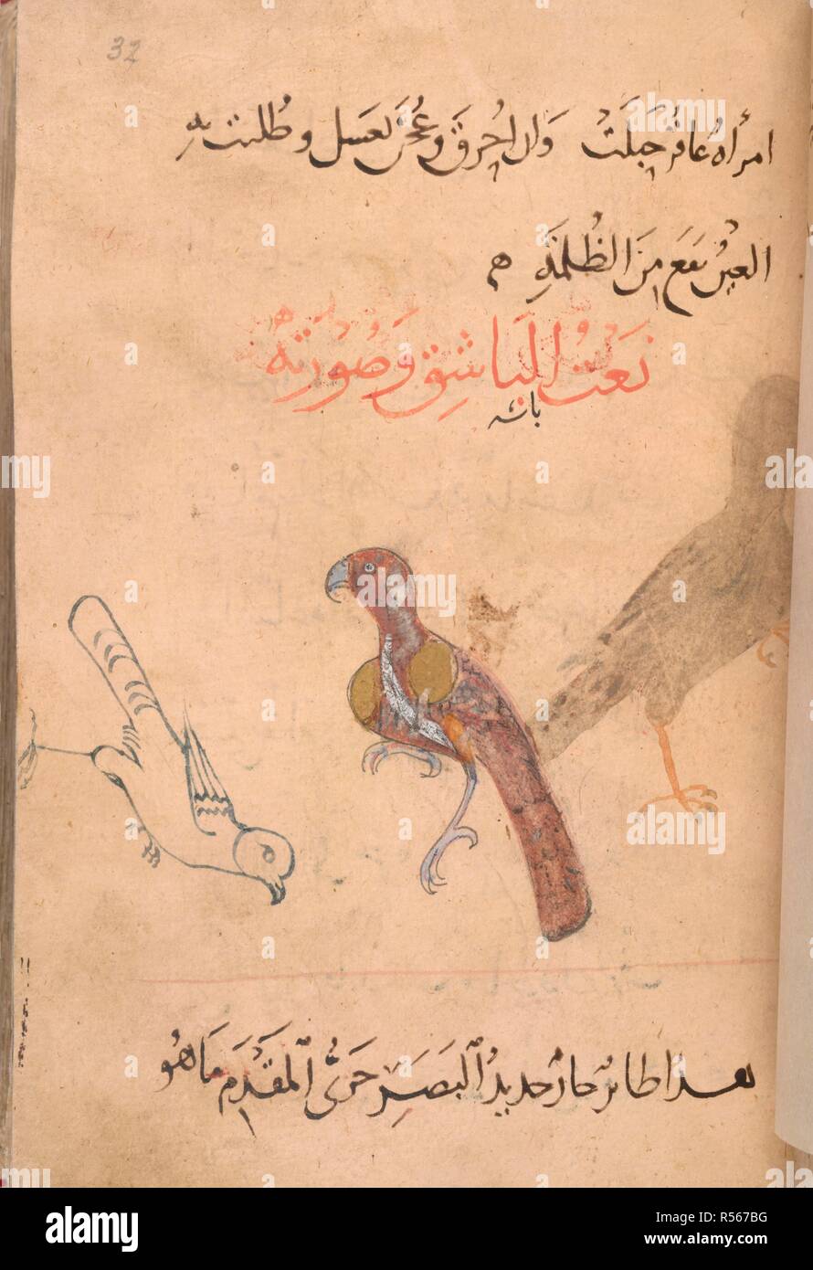 Kitab al hayawan hi-res stock photography and images - Alamy