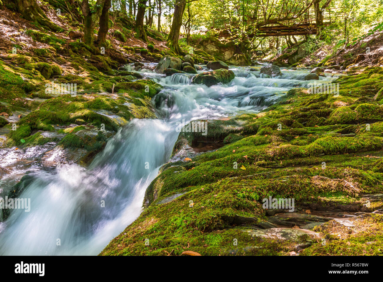 Beautiful stream waterfalls cascade over pretty green moss covered ...