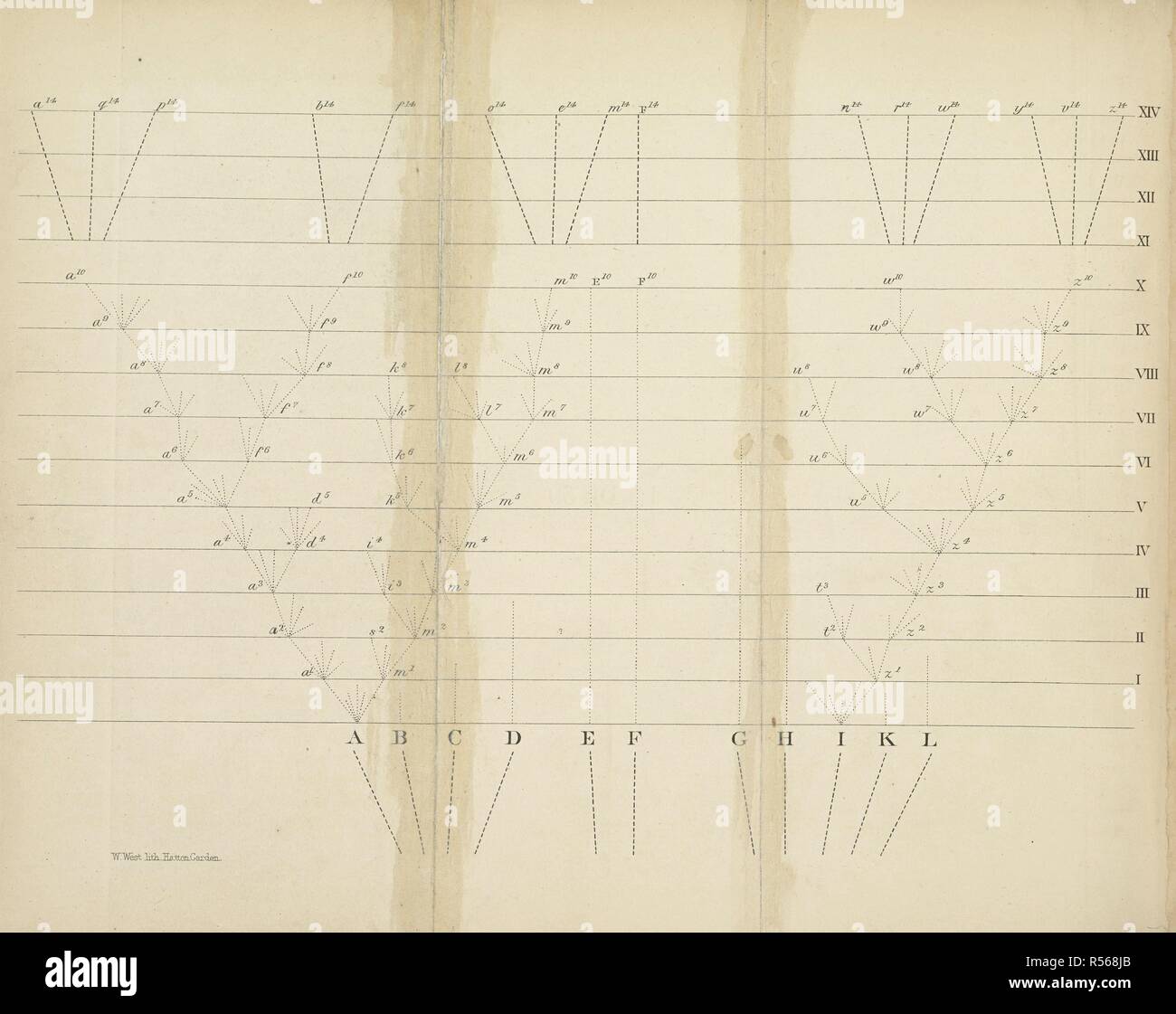 Darwin evolution diagram hi-res stock photography and images - Alamy