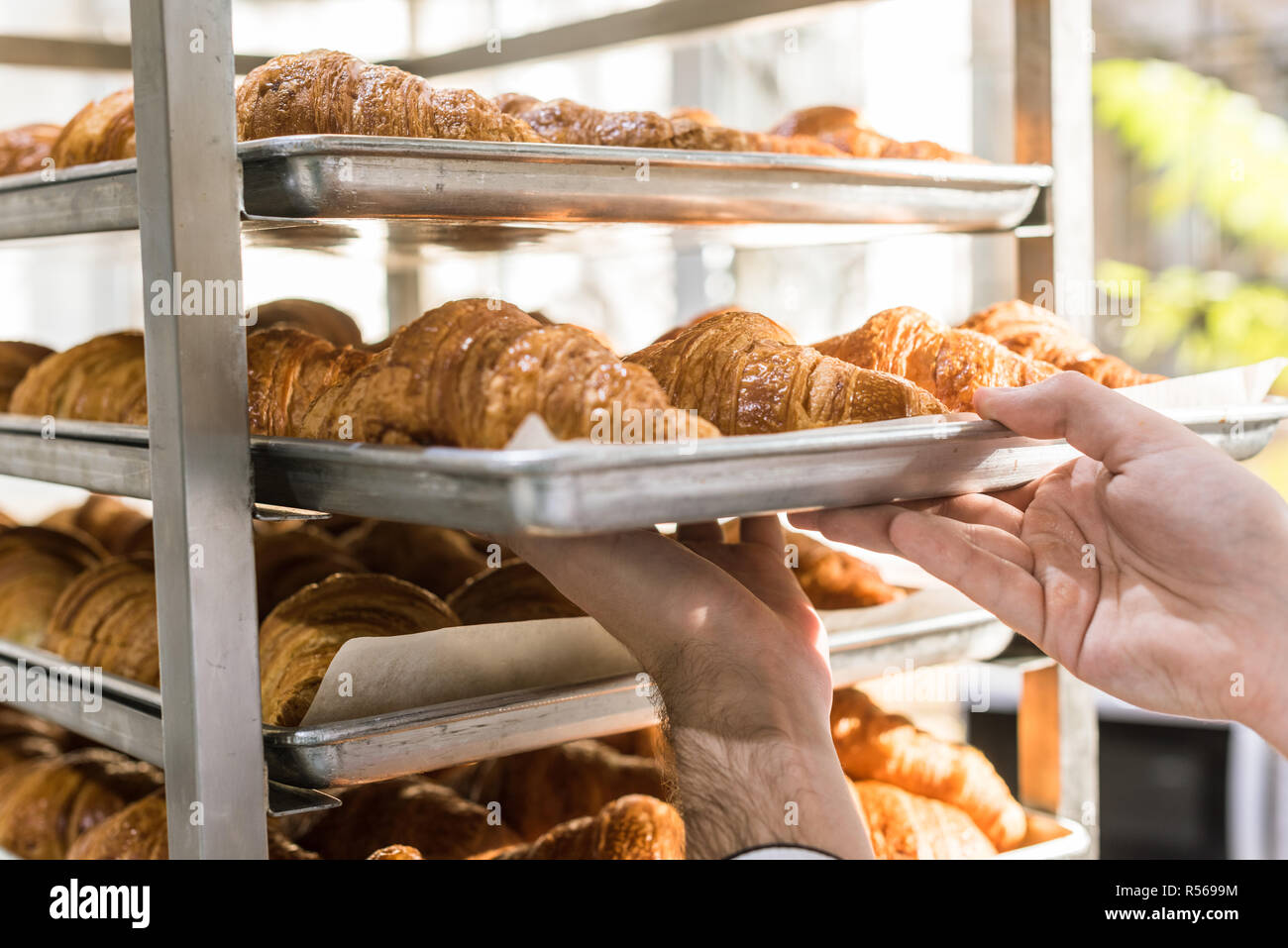 Male hands holding cooked hi-res stock photography and images - Alamy