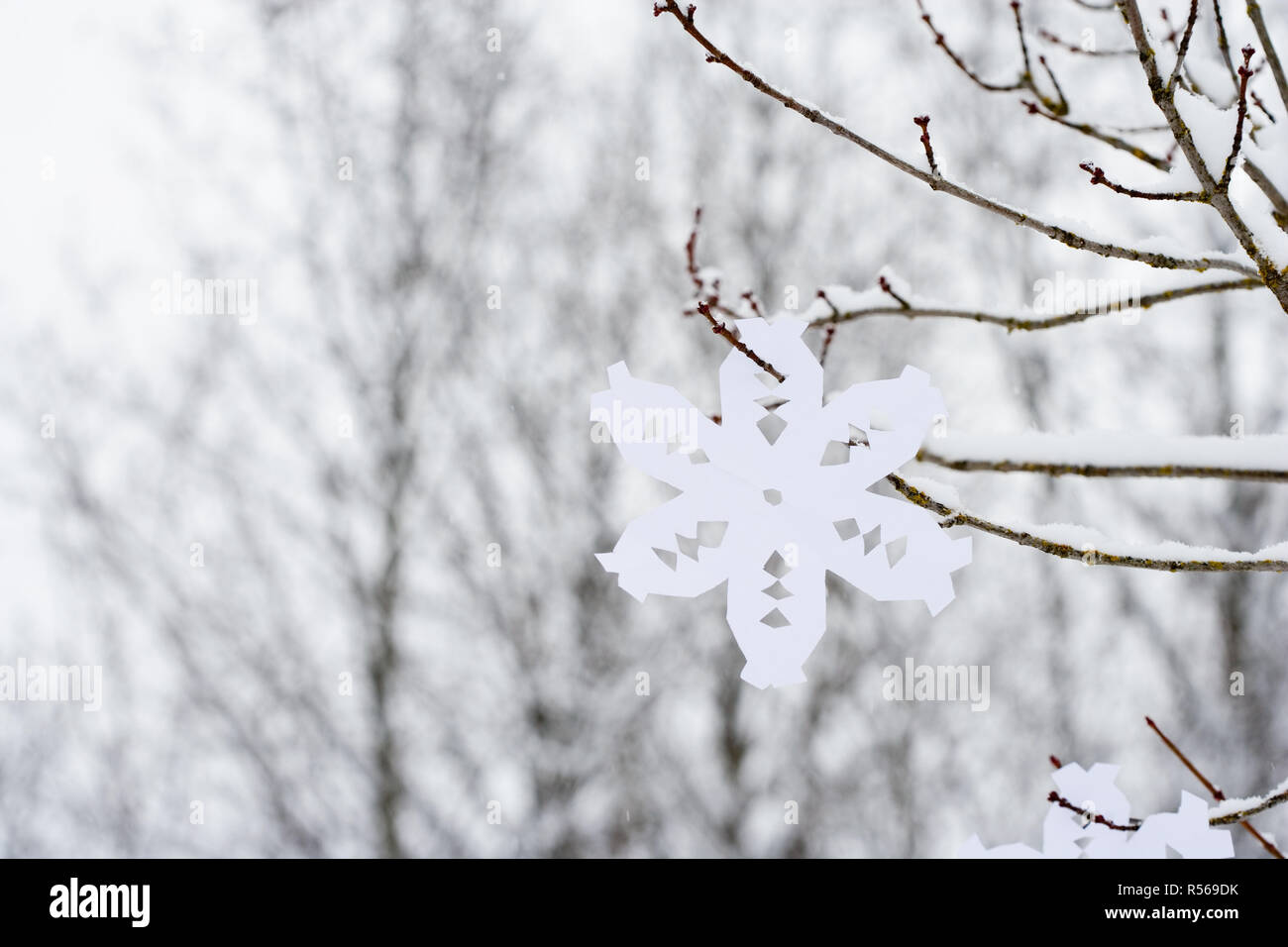 Paper snowflake hanging on a tree Stock Photo - Alamy