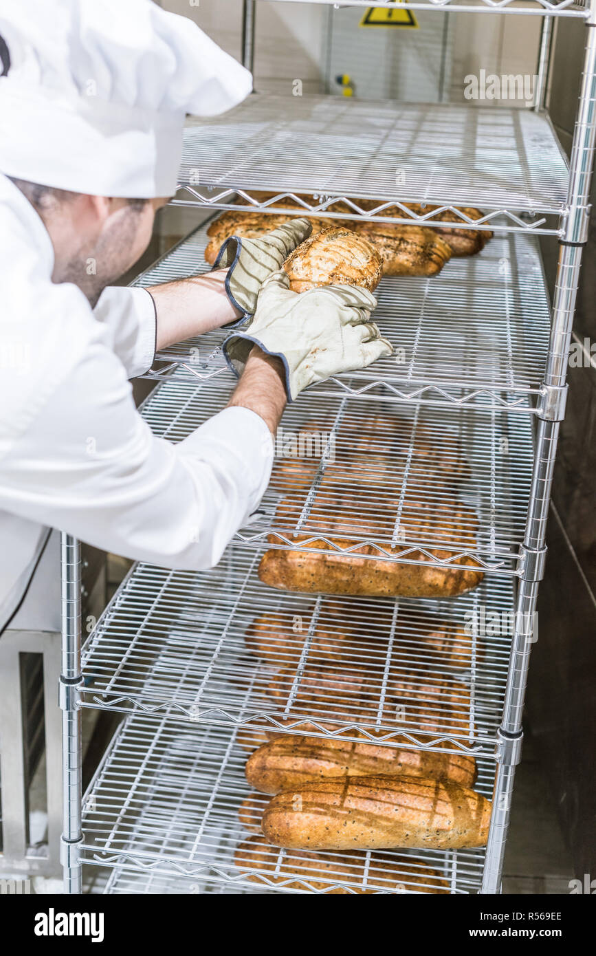 Hands man in gloves take hi-res stock photography and images - Alamy