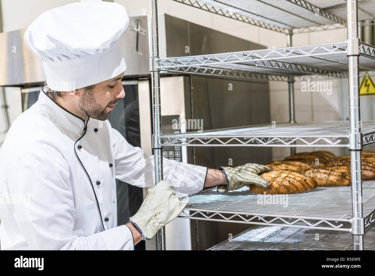 adult male baker touching fresh baked bread on kitchen rack Stock Photo ...