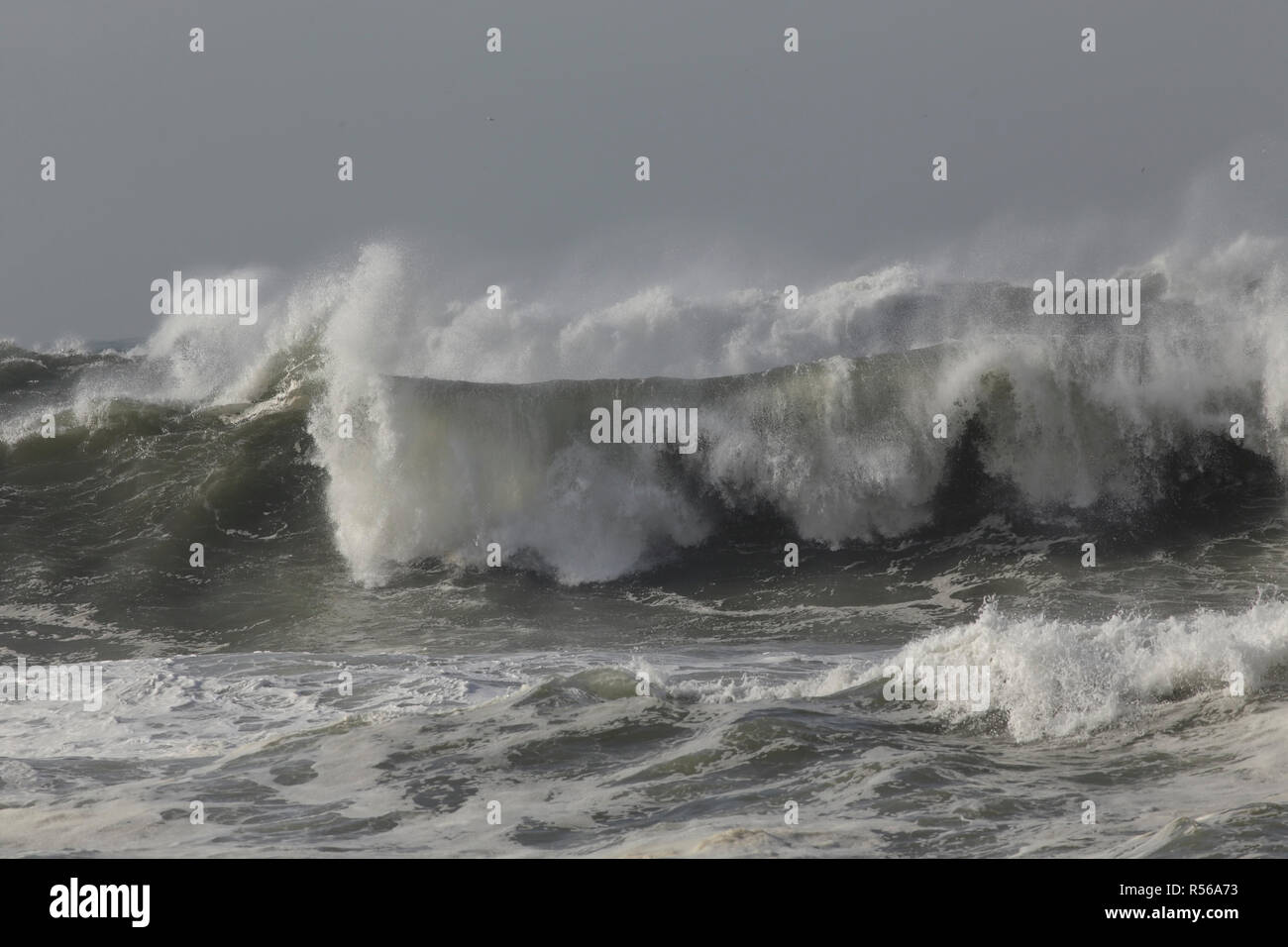 Detailed big stormy breaking wave Stock Photo - Alamy
