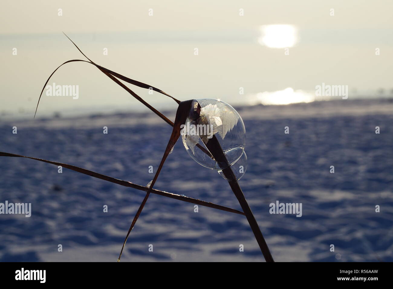 Winter in Bavaria frozen soap bubble chiemsee Stock Photo - Alamy