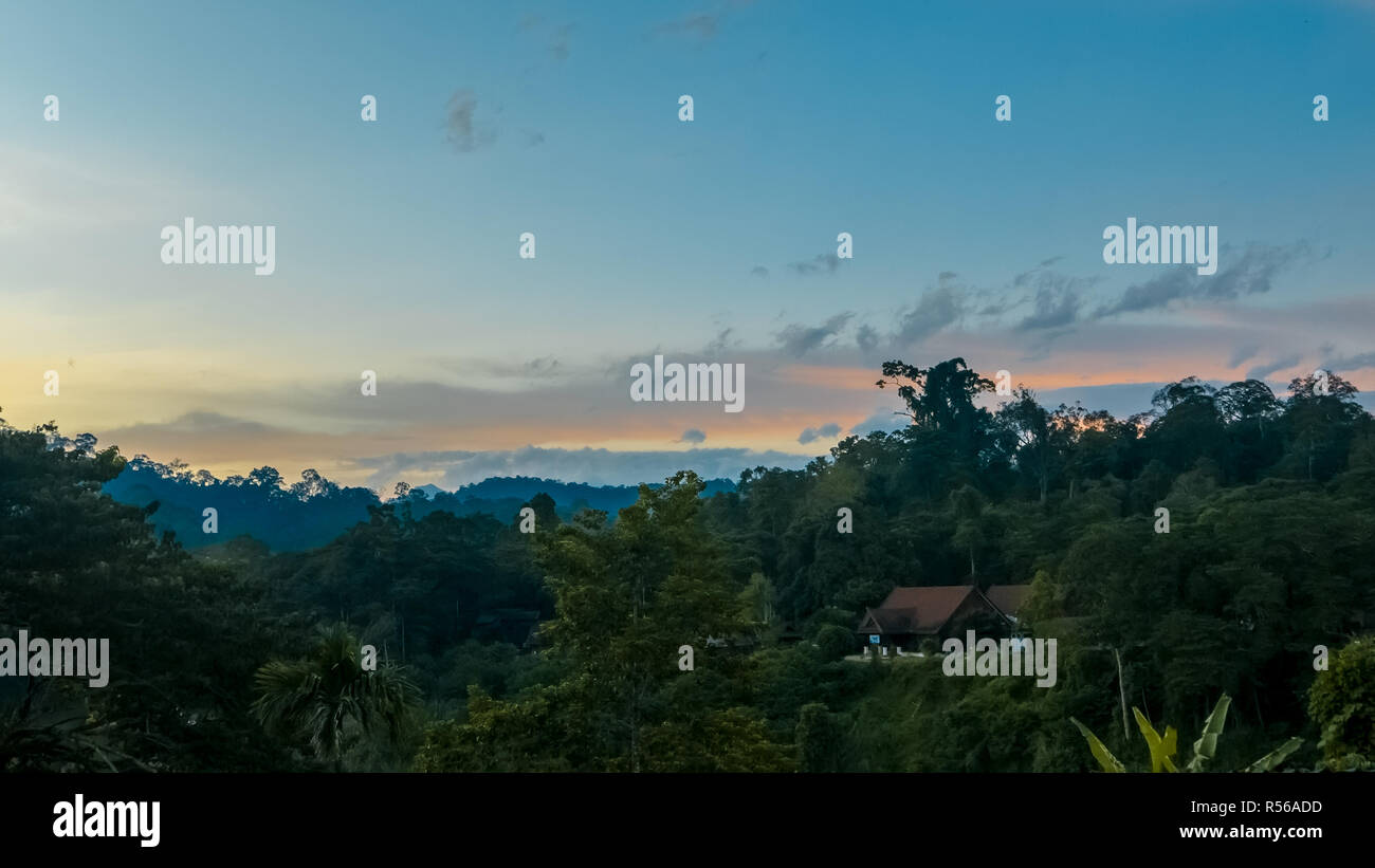Sunset jungle hi-res stock photography and images - Alamy