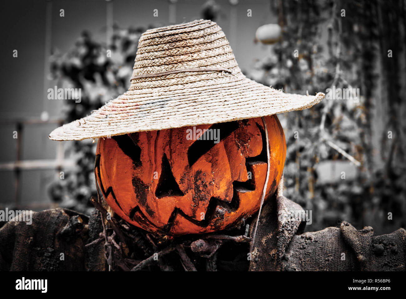 Smile Mr. Pumpkin - It's Halloween! Stock Photo - Alamy