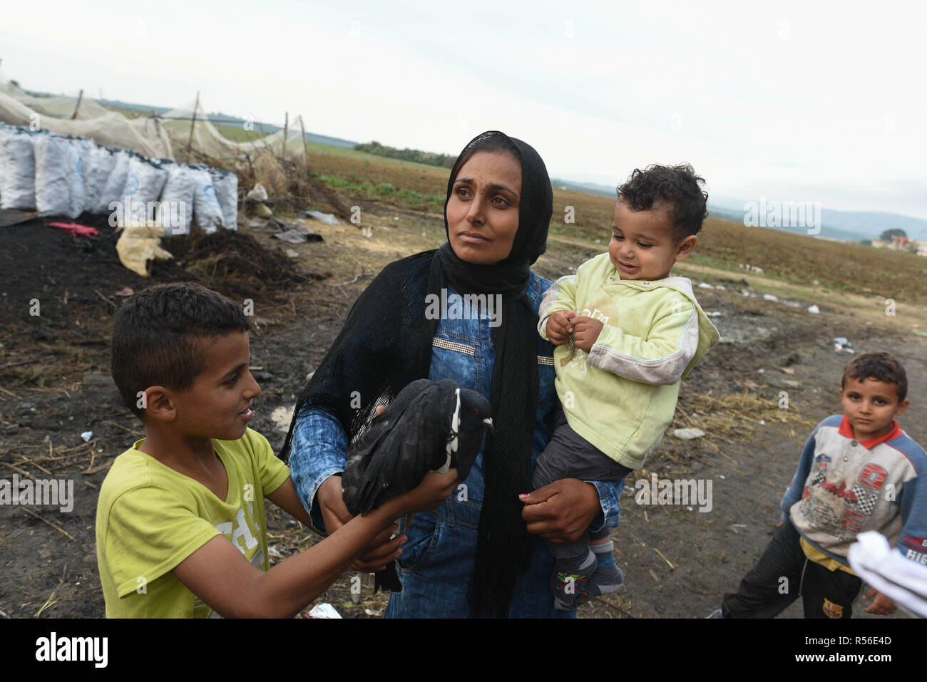 Femme rurale tunisie hi-res stock photography and images - Alamy