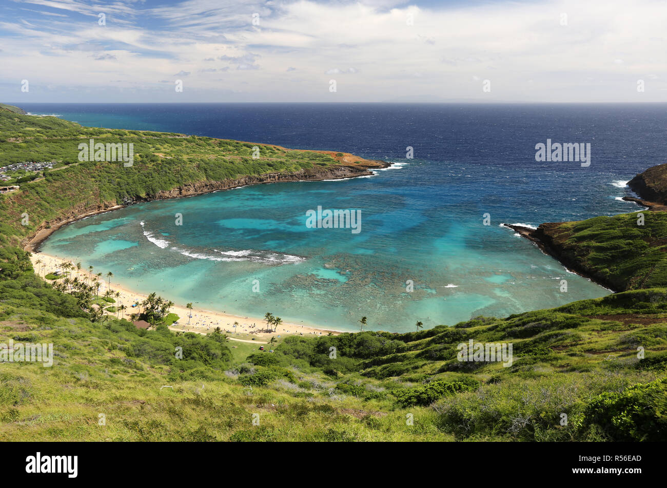 Oahu Fish High Resolution Stock Photography and Images - Alamy