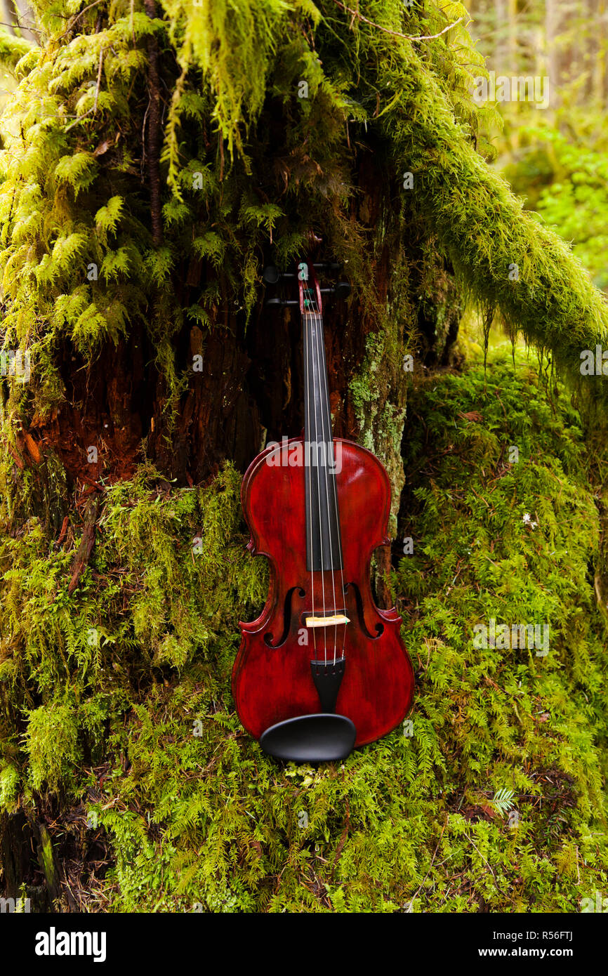 Violin in the forest Stock Photo - Alamy