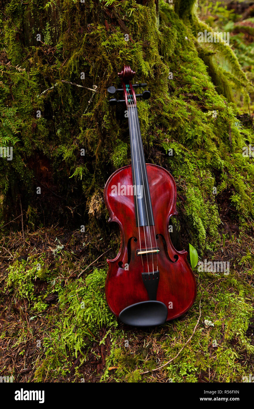 Musical forest hi-res stock photography and images - Alamy