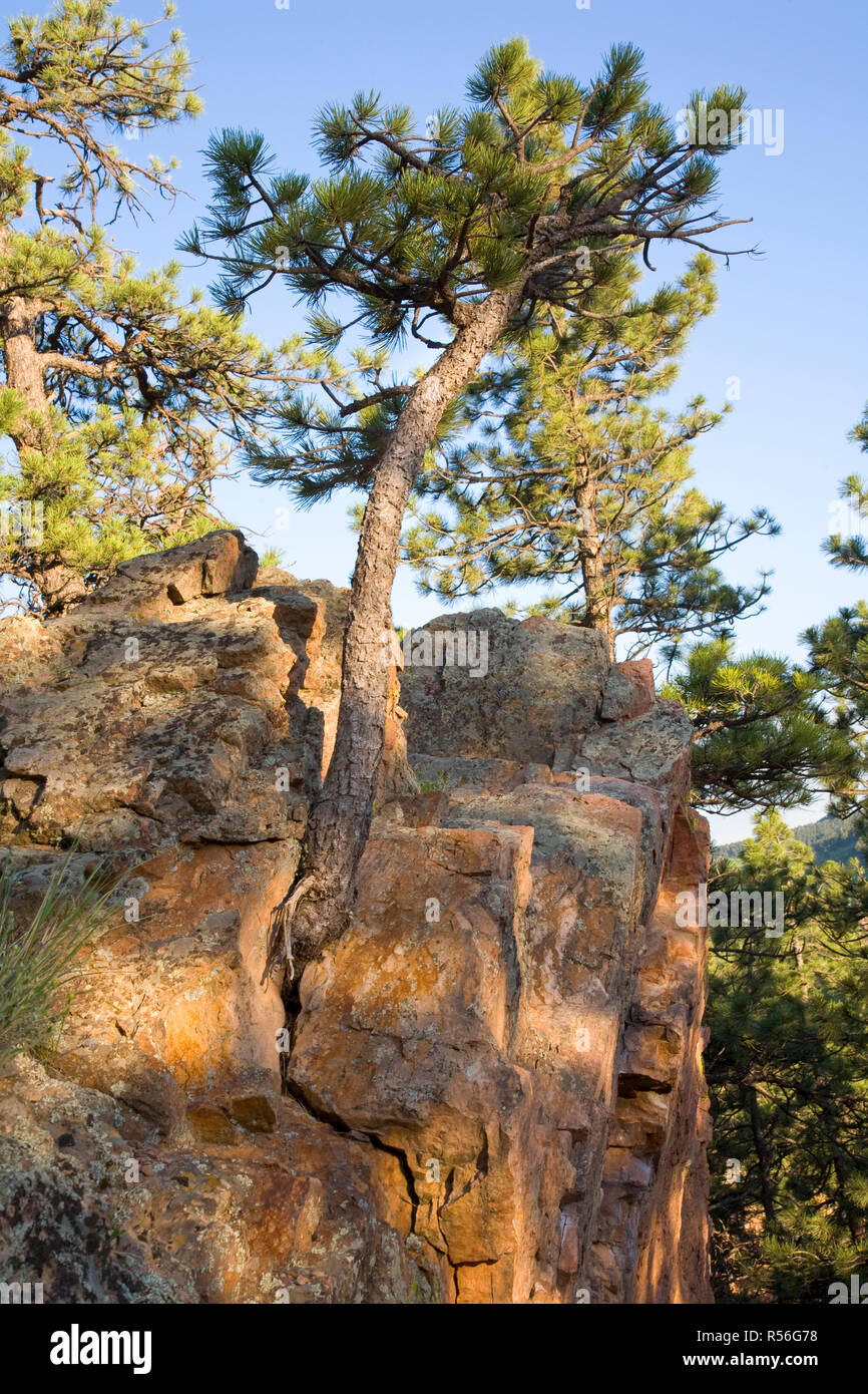 Physical weathering hi-res stock photography and images - Alamy