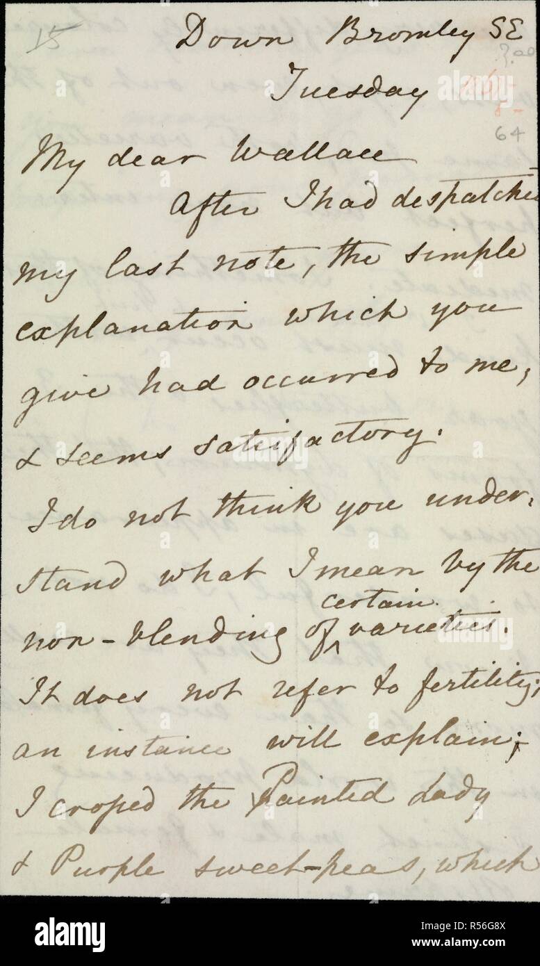 Alfred wallace hi-res stock photography and images - Alamy