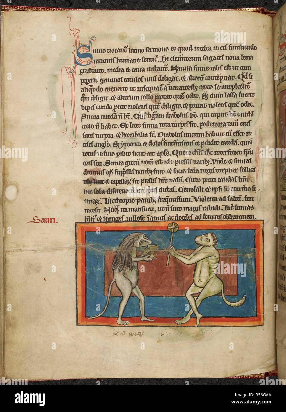 Two mythical creatures facing each other. With tails. Human torsos ...