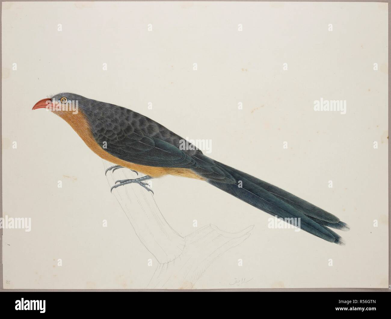 J briois hi-res stock photography and images - Alamy