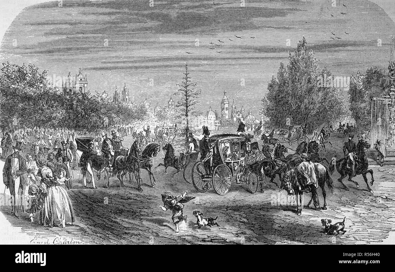 Alameda Nueva, the new promenade of Lima, 1855, woodcut, Peru Stock ...